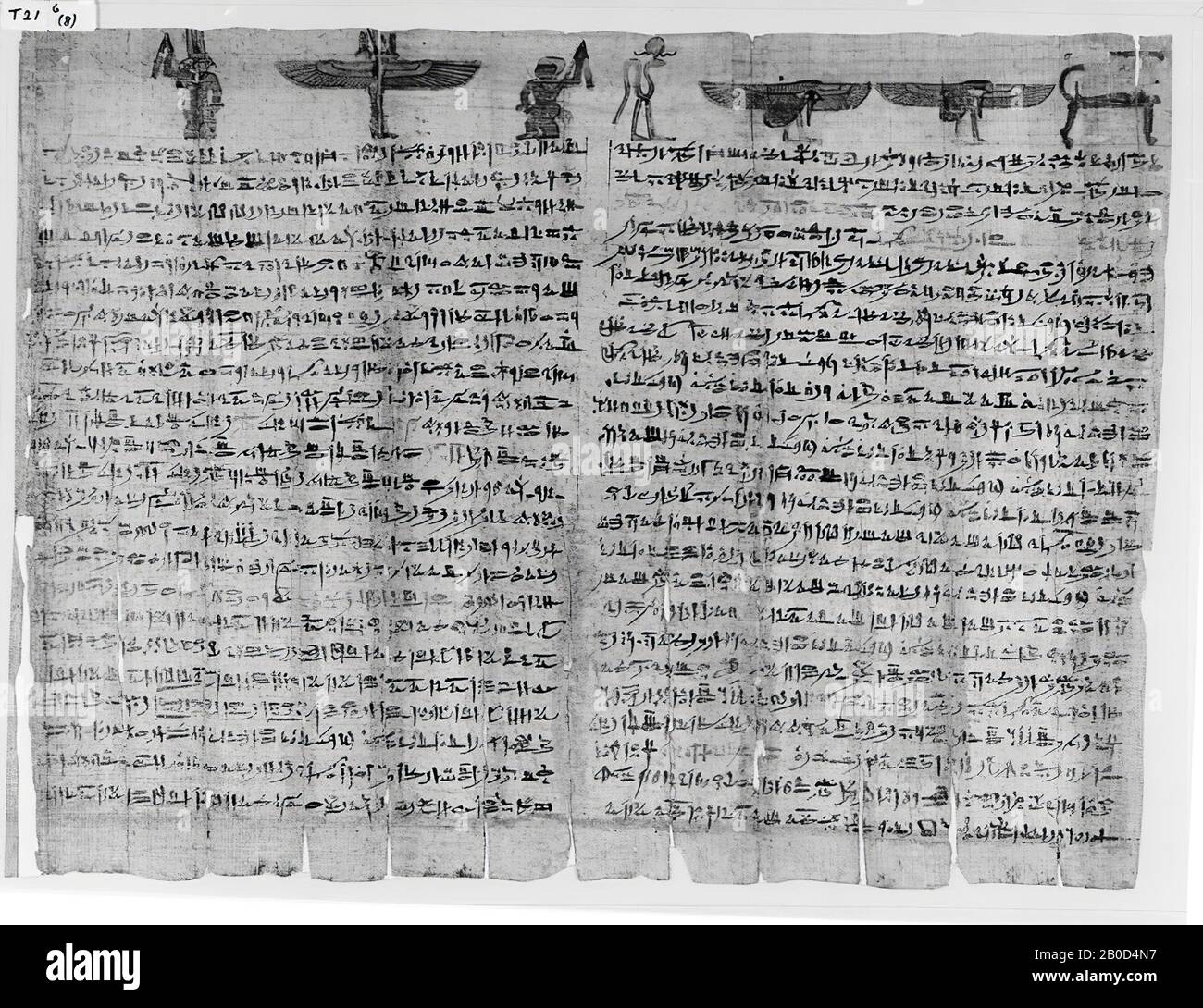 Egypt, handwriting, hieratic, papyrus, 34 x 45.5 cm Stock Photo - Alamy