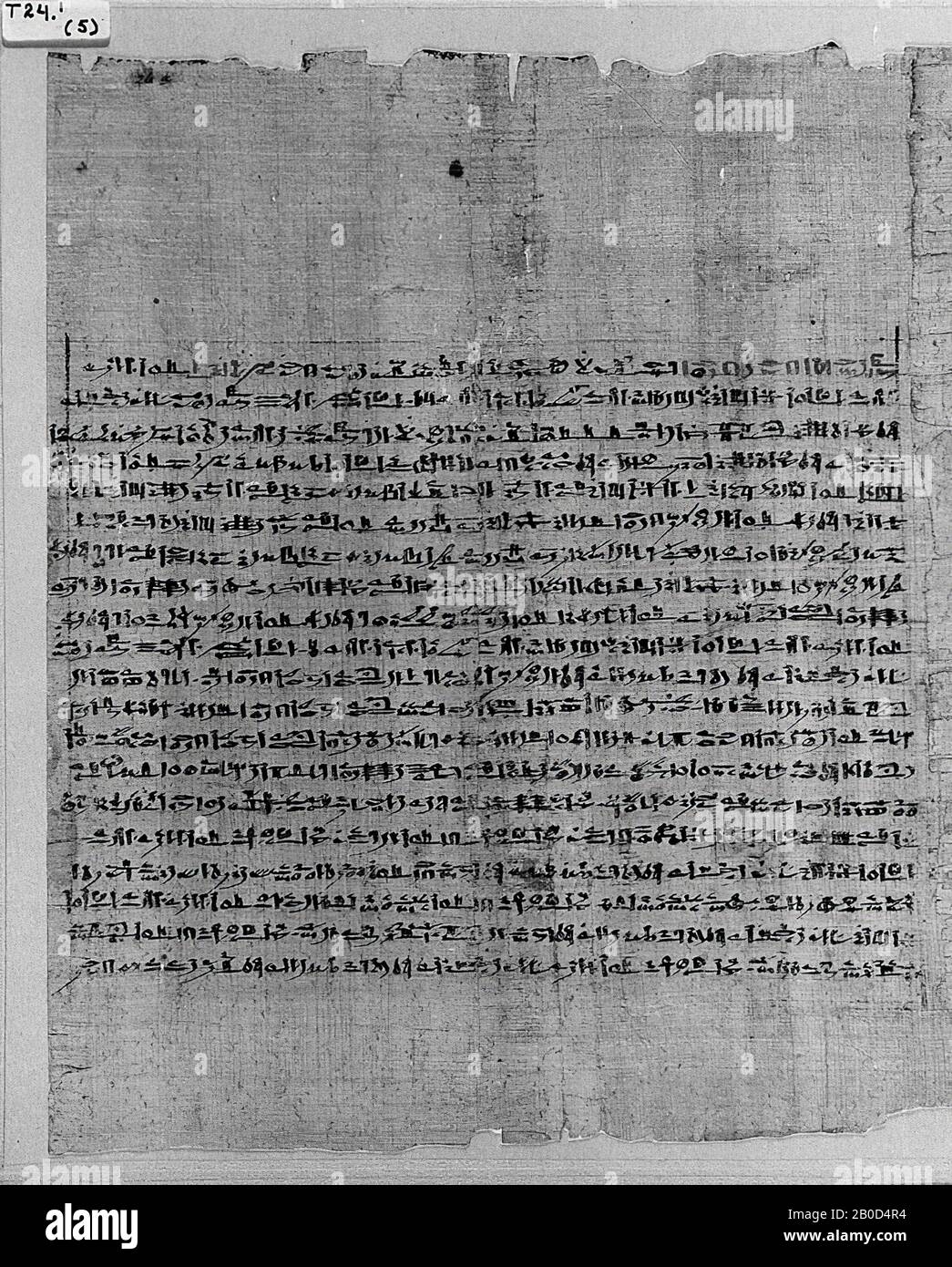 Egypt, handwriting, hieratic, papyrus, 31 x 50.5 cm Stock Photo - Alamy