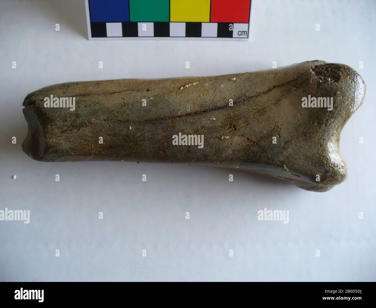 modified (?) Bone, organic, bone, L: 20,0 cm, W: 8,0 cm, D: 4,0 cm, G ...