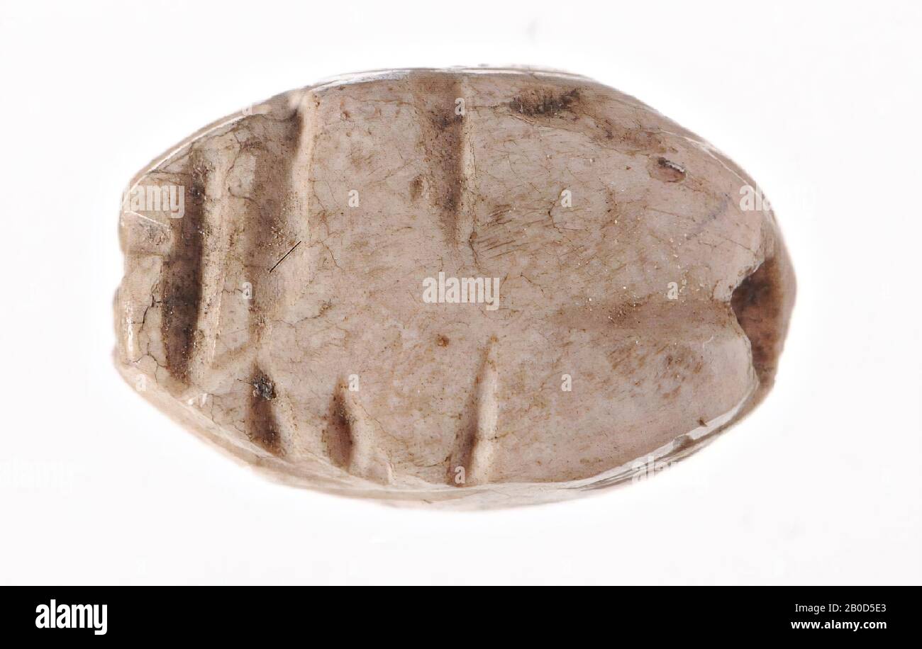scarab, undecorated, seal, scarab, stone (white), height: 0.8 cm, depth ...