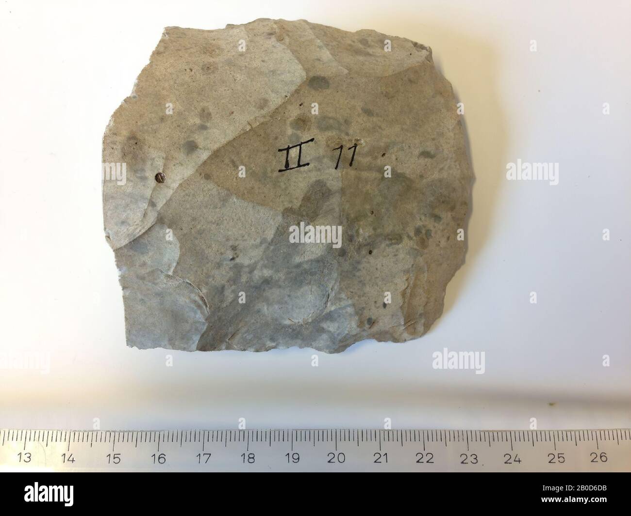 Residual cortex hi-res stock photography and images - Alamy