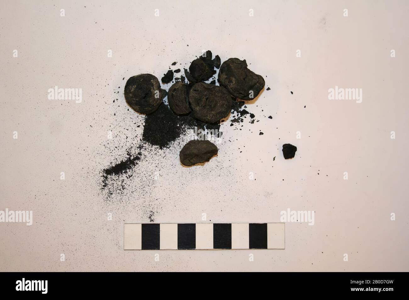 Charred wild apples, apple, organic, prehistory, Switzerland, Zurich ...