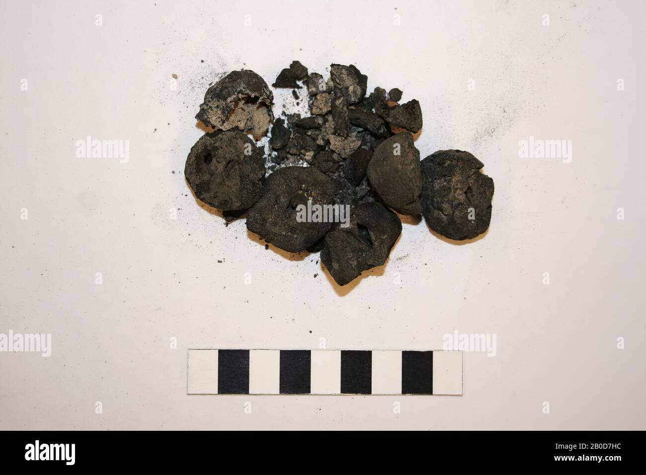 Charred apples, apple, organic, prehistoric, Switzerland, Zurich Stock ...