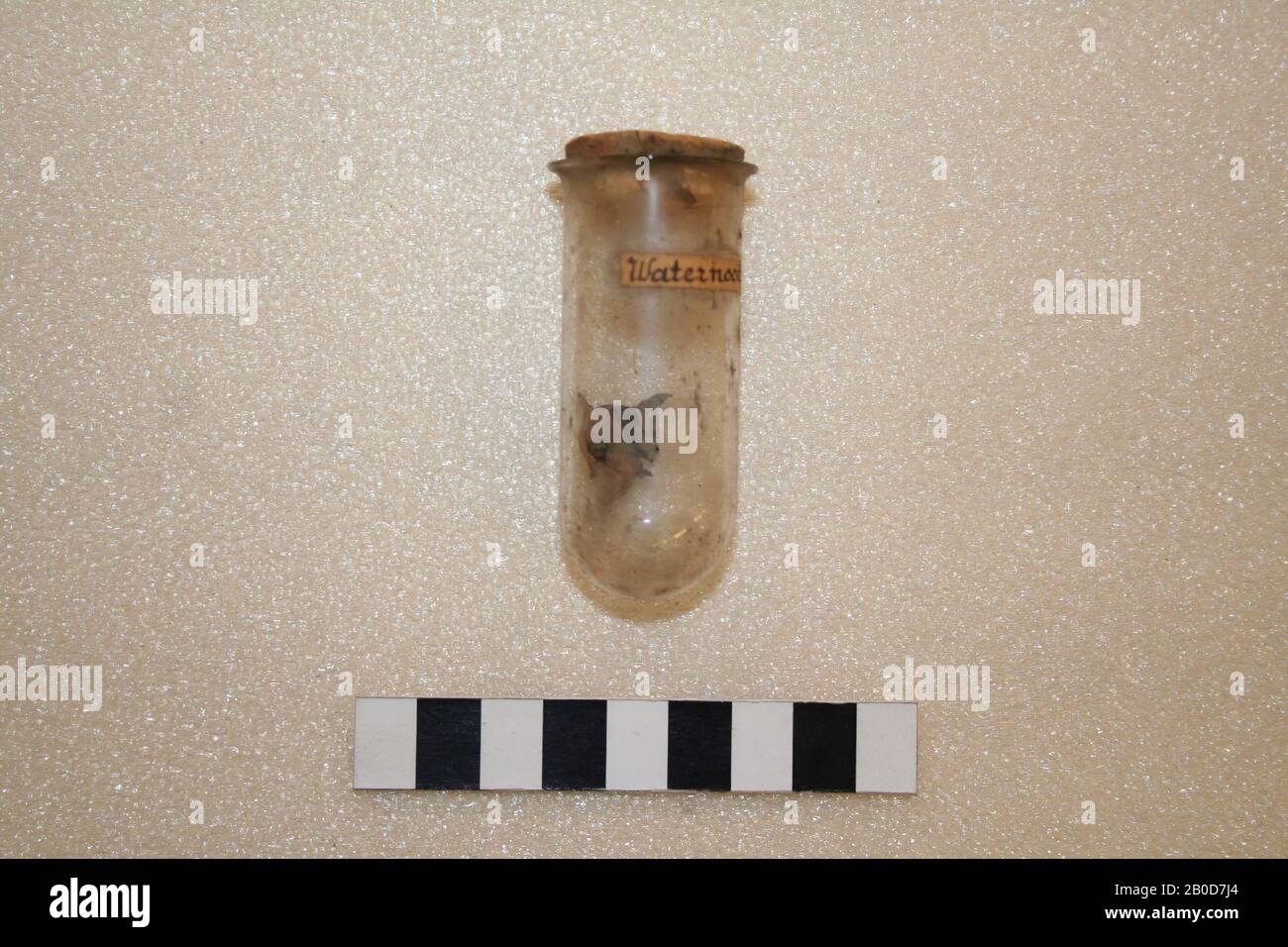 Water note in a glass bottle, water note, organic, prehistory ...