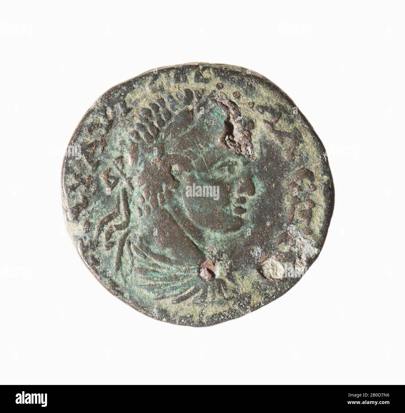 Scyrte swimming under hi-res stock photography and images - Alamy