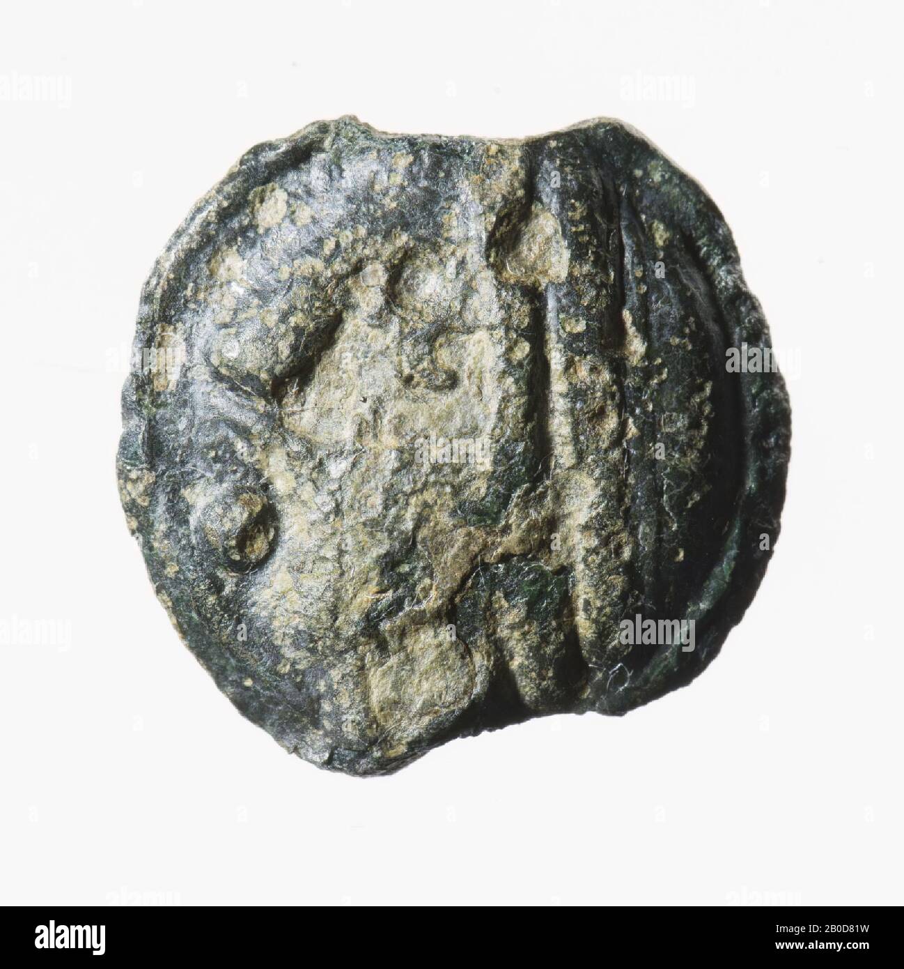 Its left front Cut Out Stock Images & Pictures - Alamy