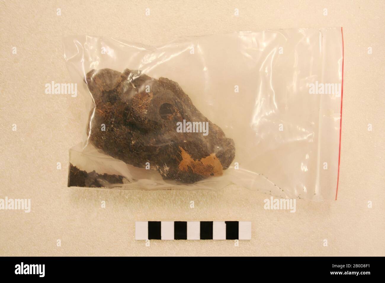 Fragment of a mummy: part of a bone with a hole in it, and textile ...