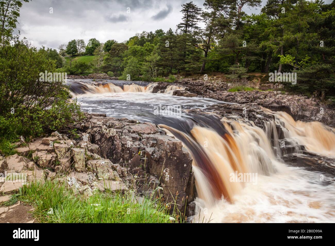 The waterfalls at Low Force,Teesdale,England,UK Stock Photo - Alamy