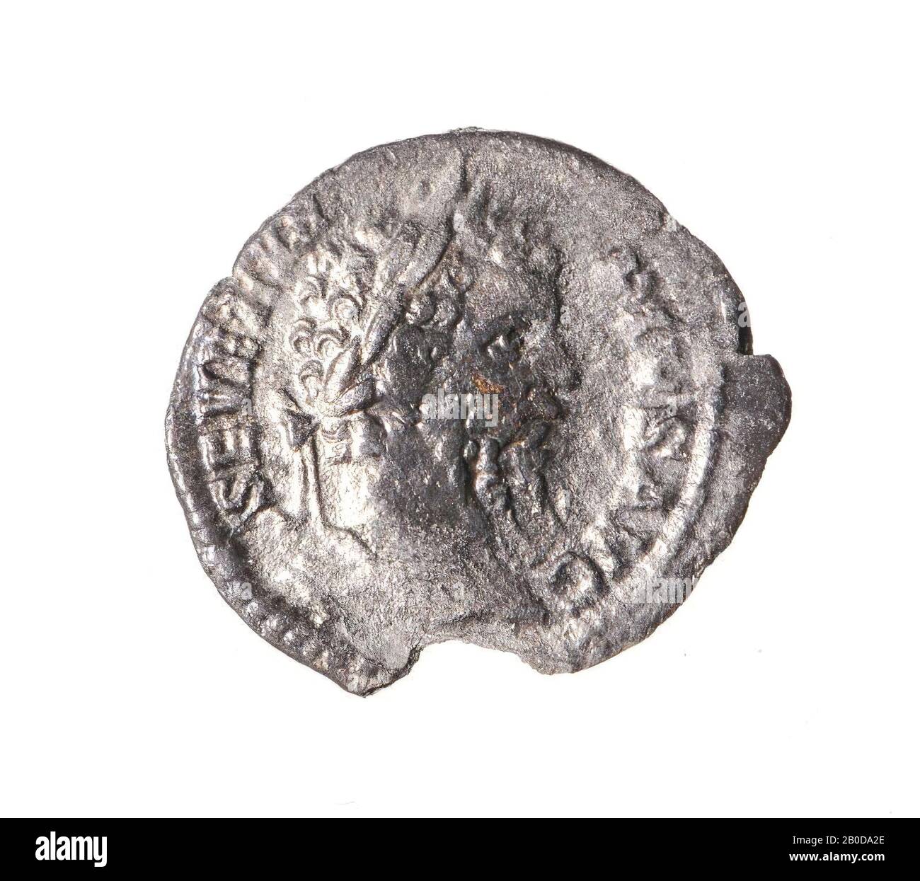 Silver li Cut Out Stock Images & Pictures - Alamy