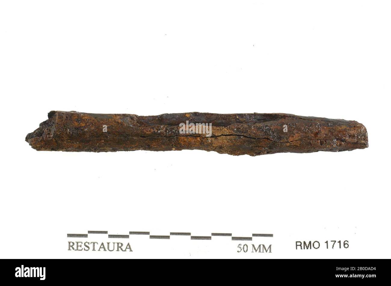 rod fragment, round cross section, rod fragment, round section, iron, 8 ...