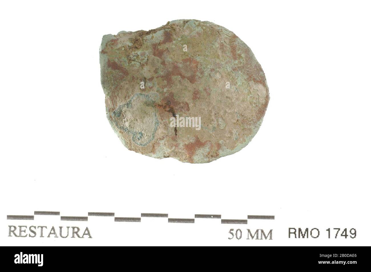 Slightly convex head hi-res stock photography and images - Alamy