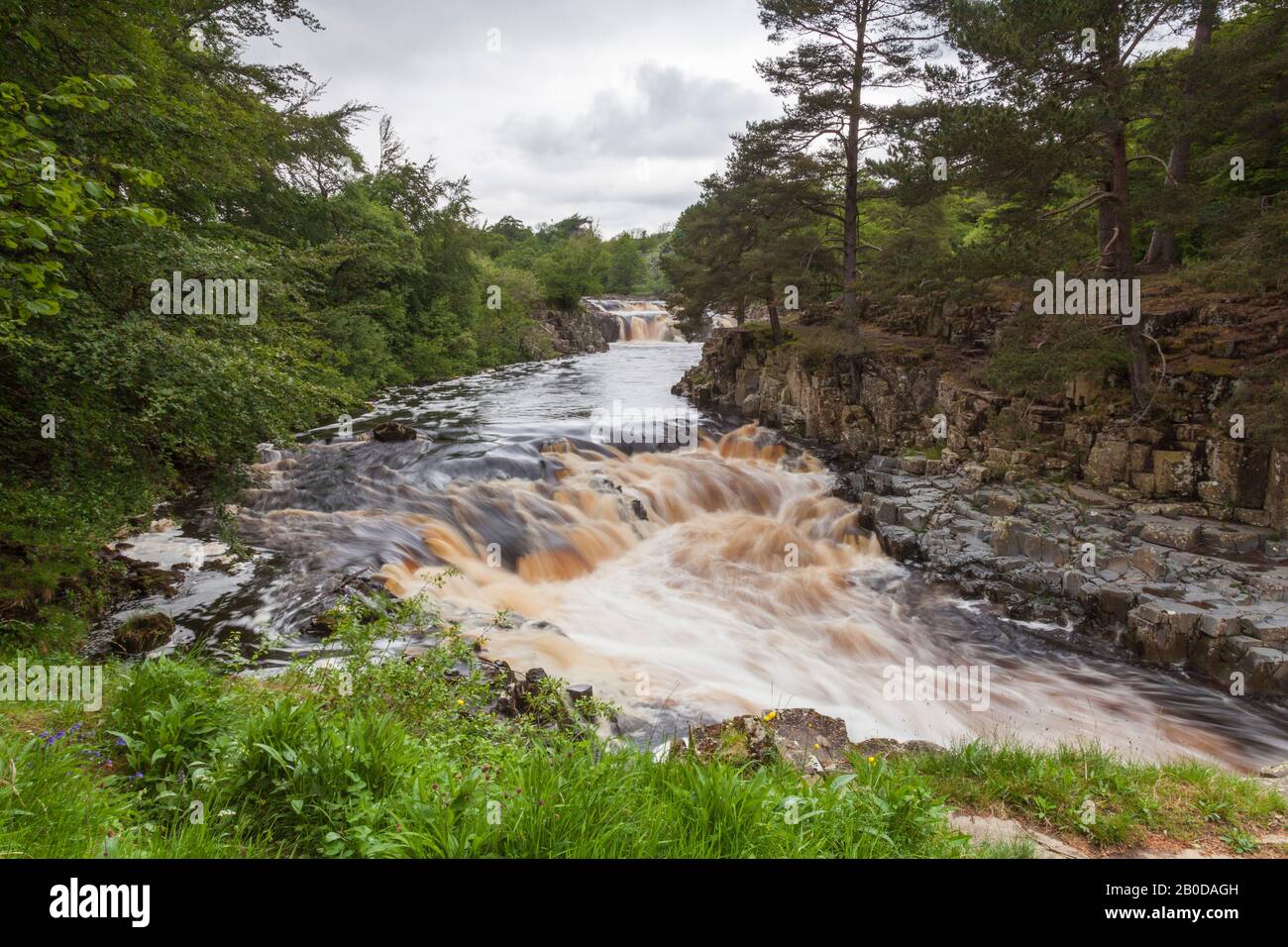 The waterfalls at Low Force,Teesdale,England,UK Stock Photo - Alamy