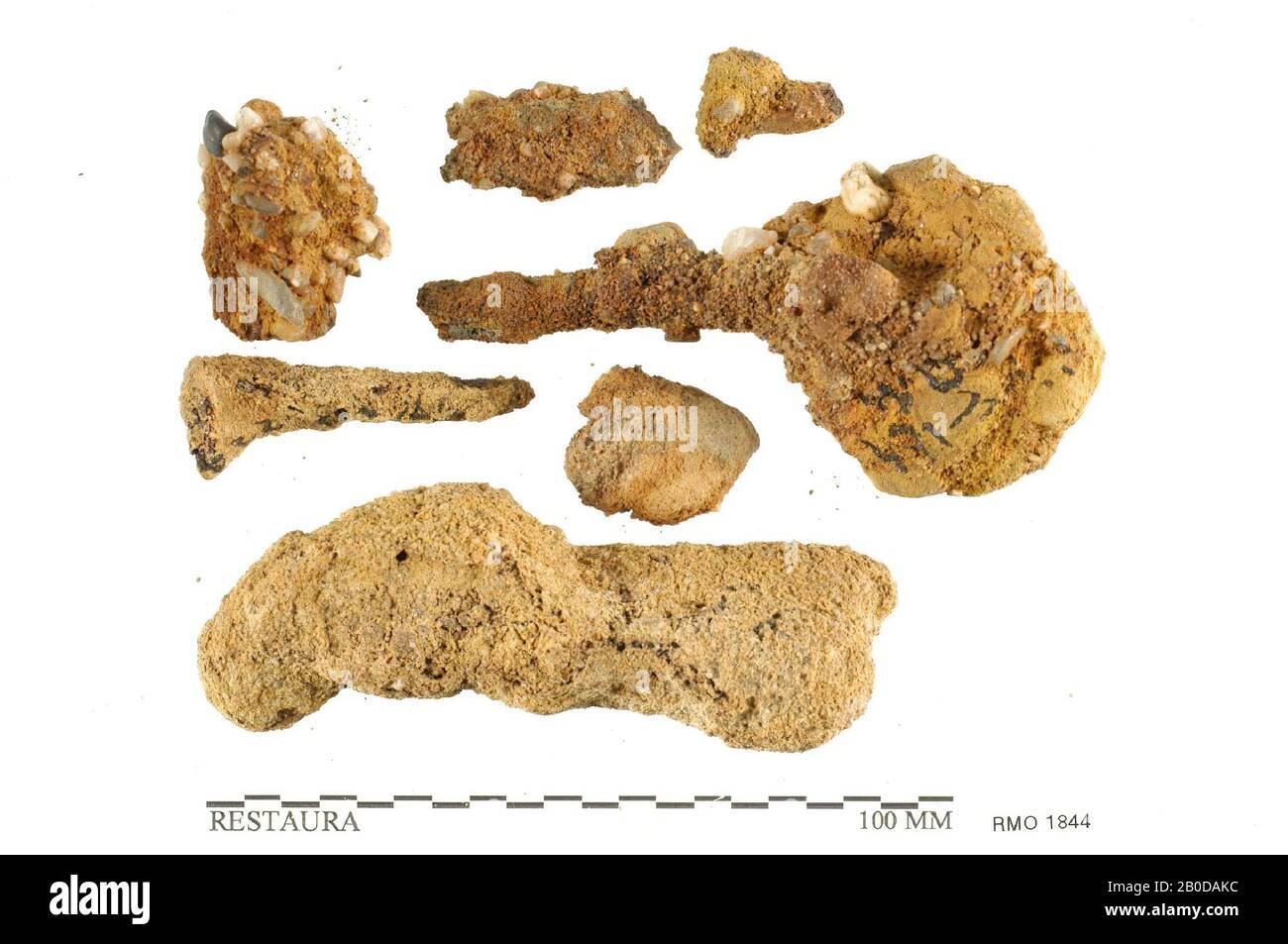 4 7 0 5 cm Cut Out Stock Images & Pictures - Alamy