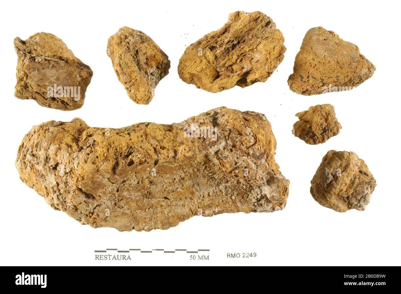 11 0 x 4 0 cm hi-res stock photography and images - Alamy