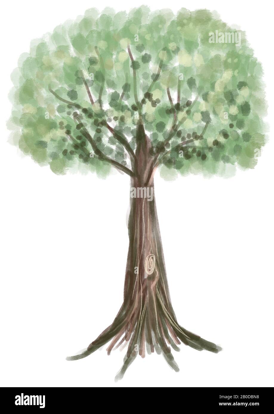Hand drawn tree illustration Stock Photo - Alamy
