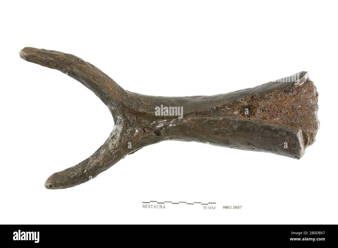 20 6 x 20 6 cm Cut Out Stock Images & Pictures - Alamy