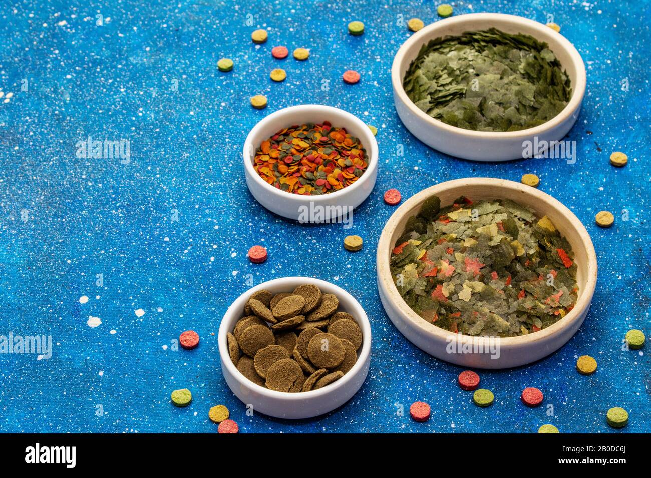 Assorted different types of food for aquarium fish. Flakes, spirulina ...