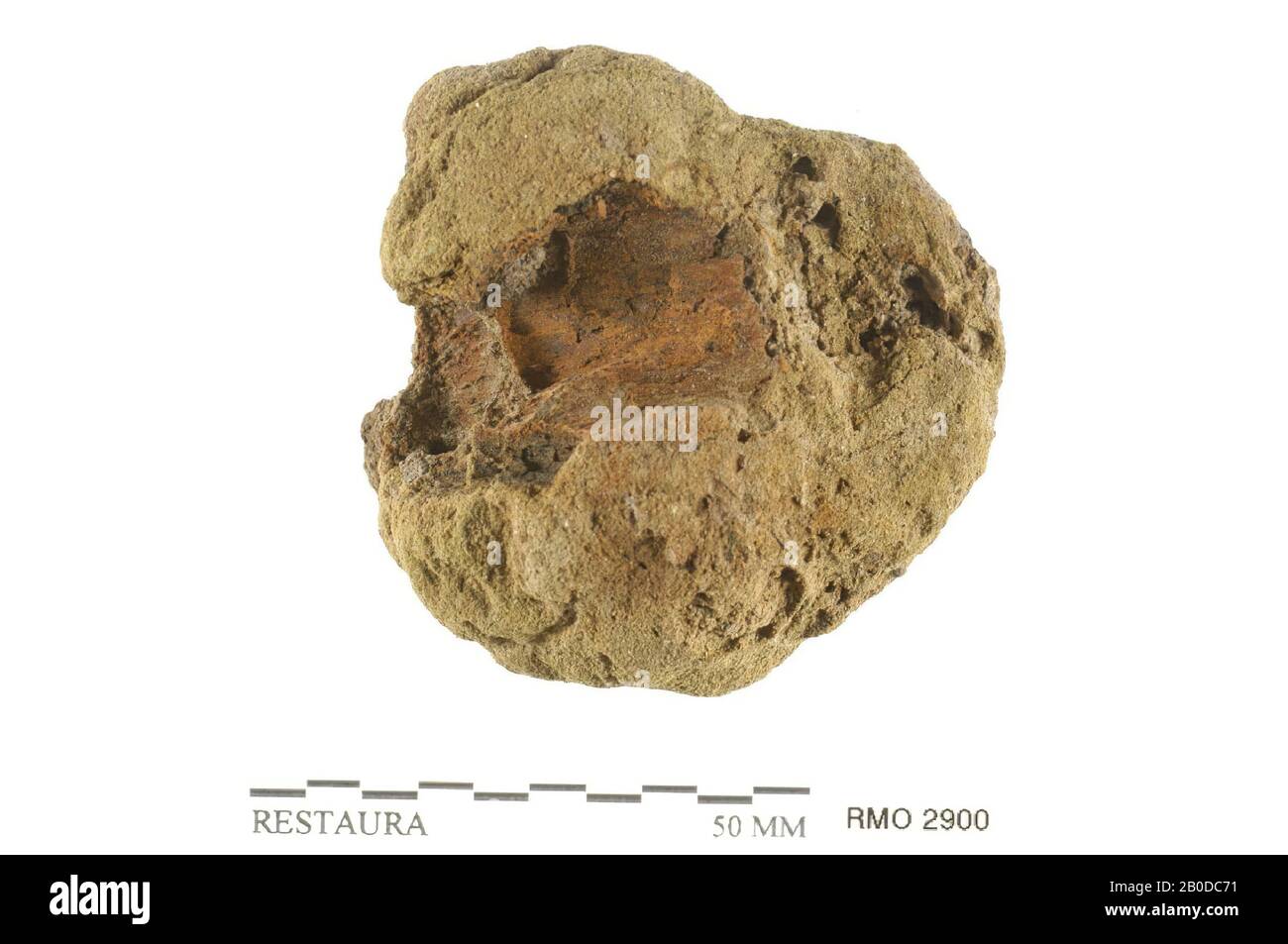 Distributor ring hi-res stock photography and images - Alamy