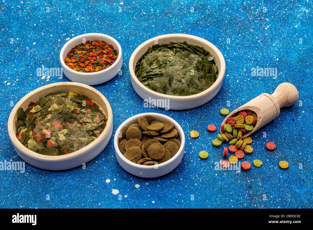 Assorted different types of food for aquarium fish. Flakes, spirulina ...