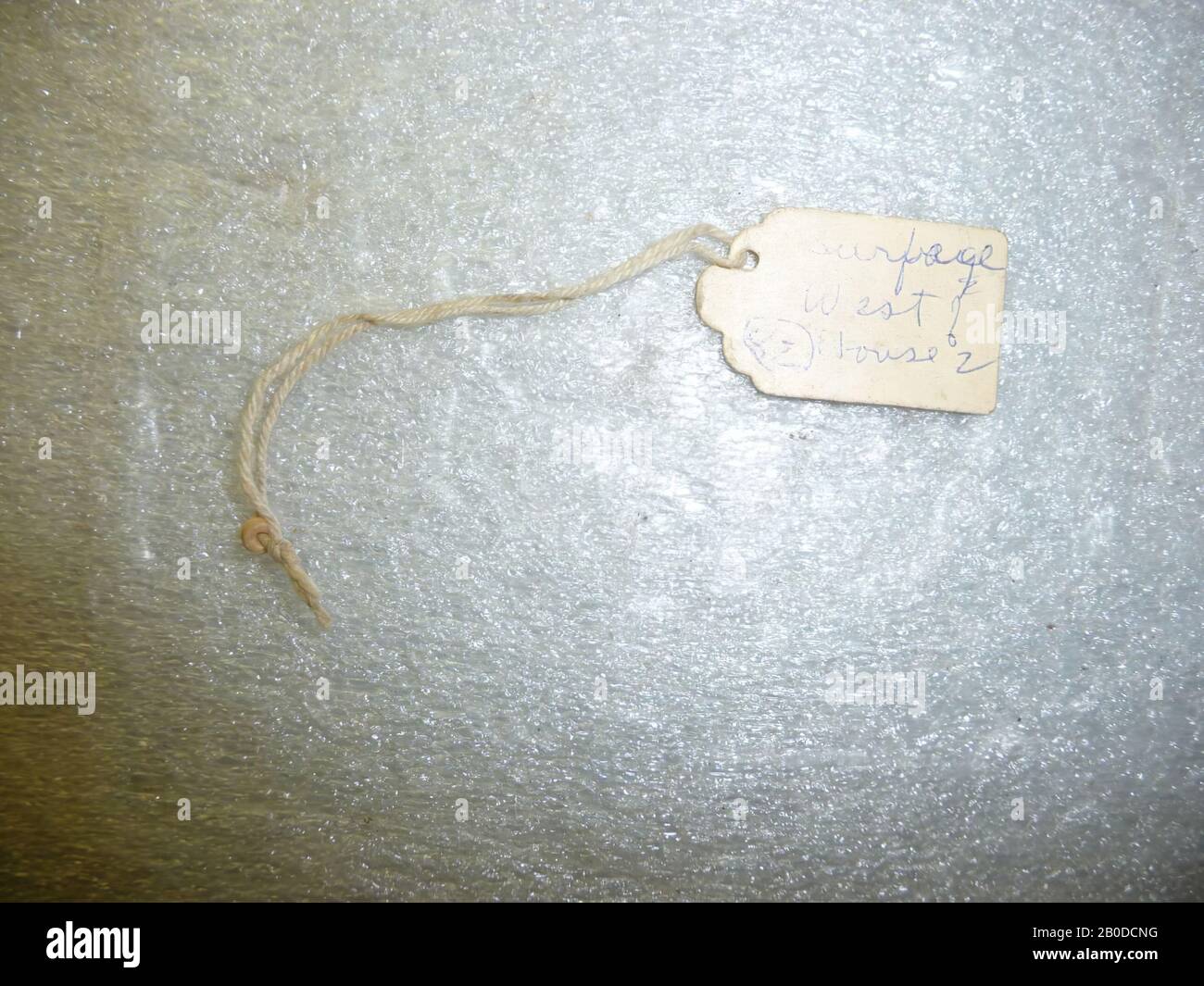 ring bead, flat, ostrich scale, bead, cylindrical, ostrich scale, ring ...