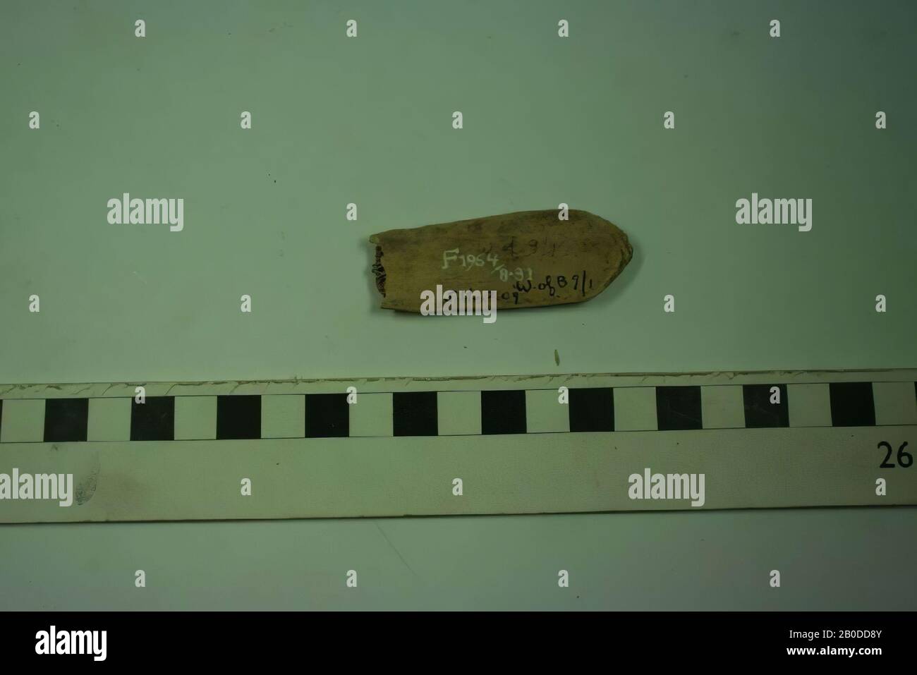 shuttle, leg of bone, shuttle, leg, 6 x 2.2 cm, Meroitische Period, 2nd ...