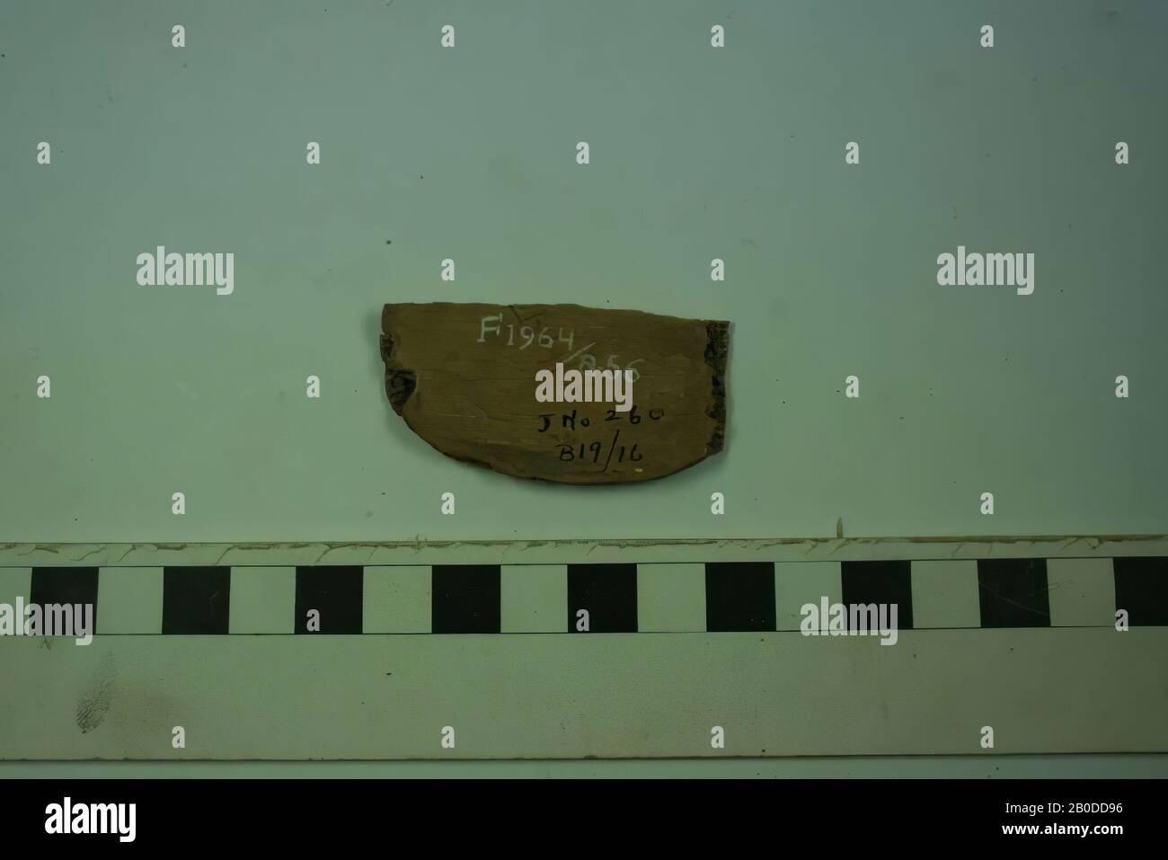 Coil, bone, coil of bone, shuttle, bone, 5.2 x 3.6 cm, Meroitische ...