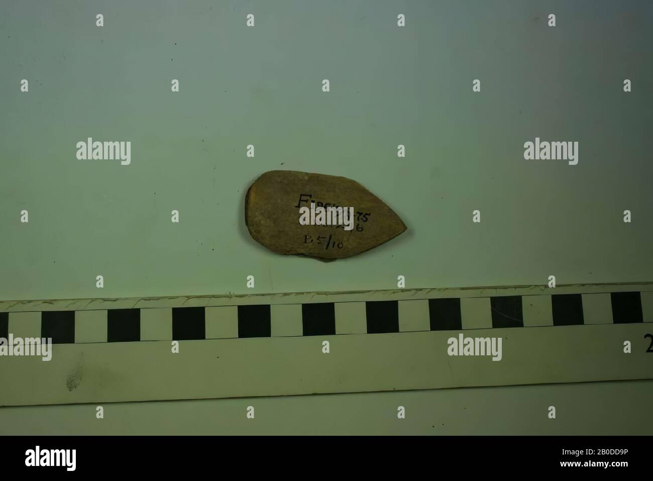 Coil, bone, coil of bone, shuttle, leg, 5.2 x 2.8 cm, Meroitische ...