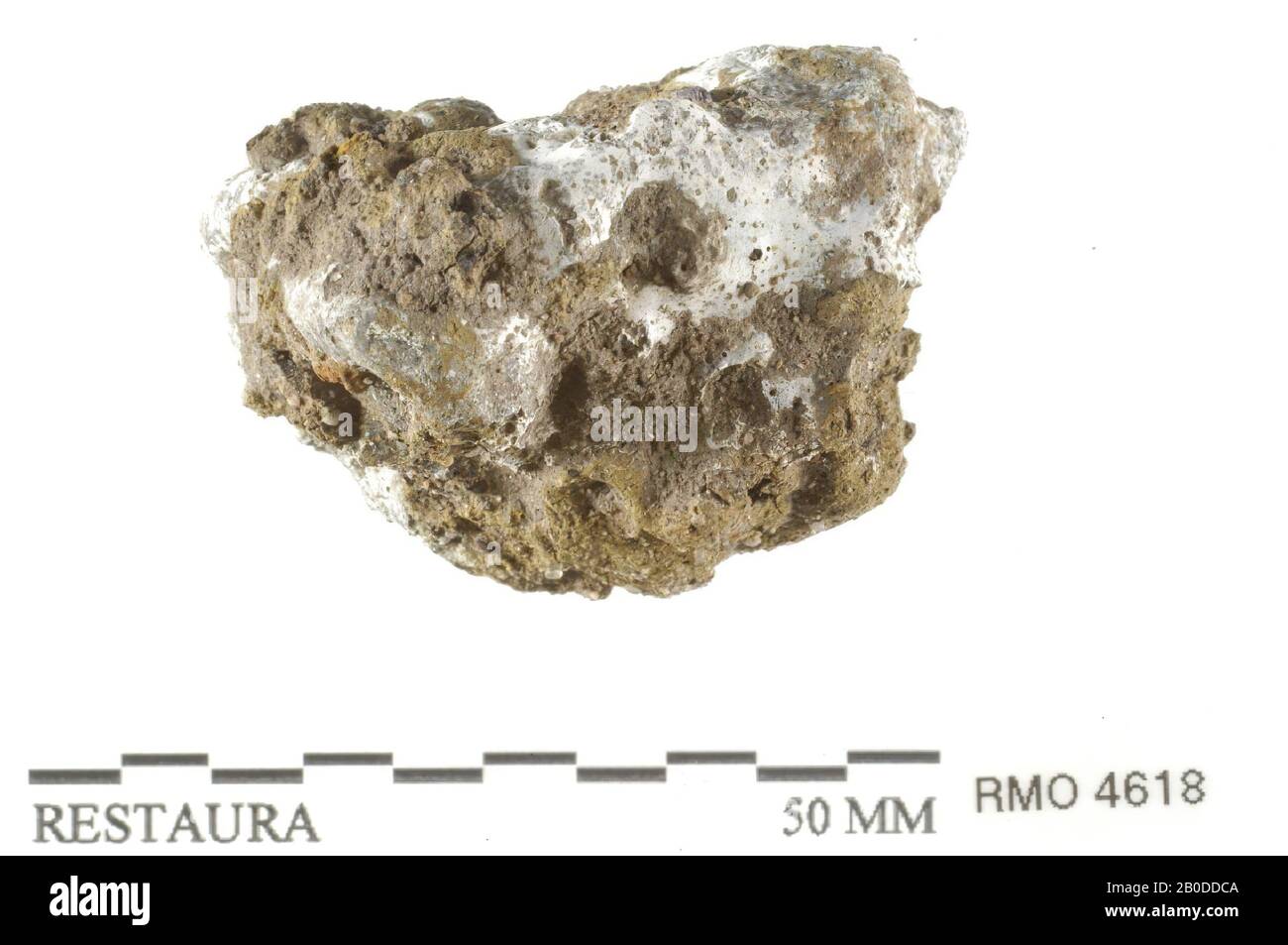 6 0 x 2 4 cm Cut Out Stock Images & Pictures - Alamy