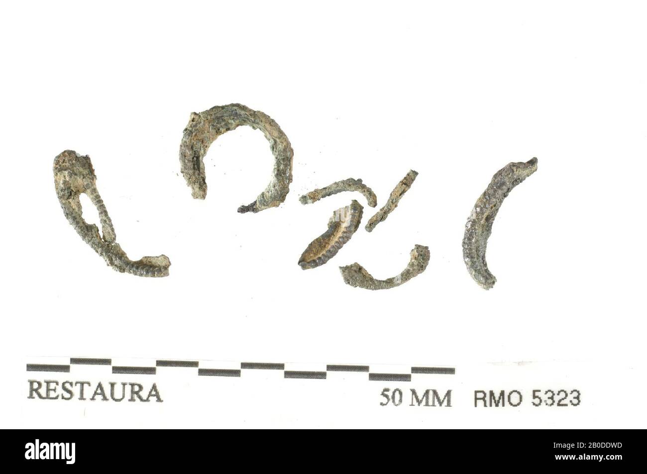 parts of disc with decorated edge, ridges, with ring, parts of disc ...