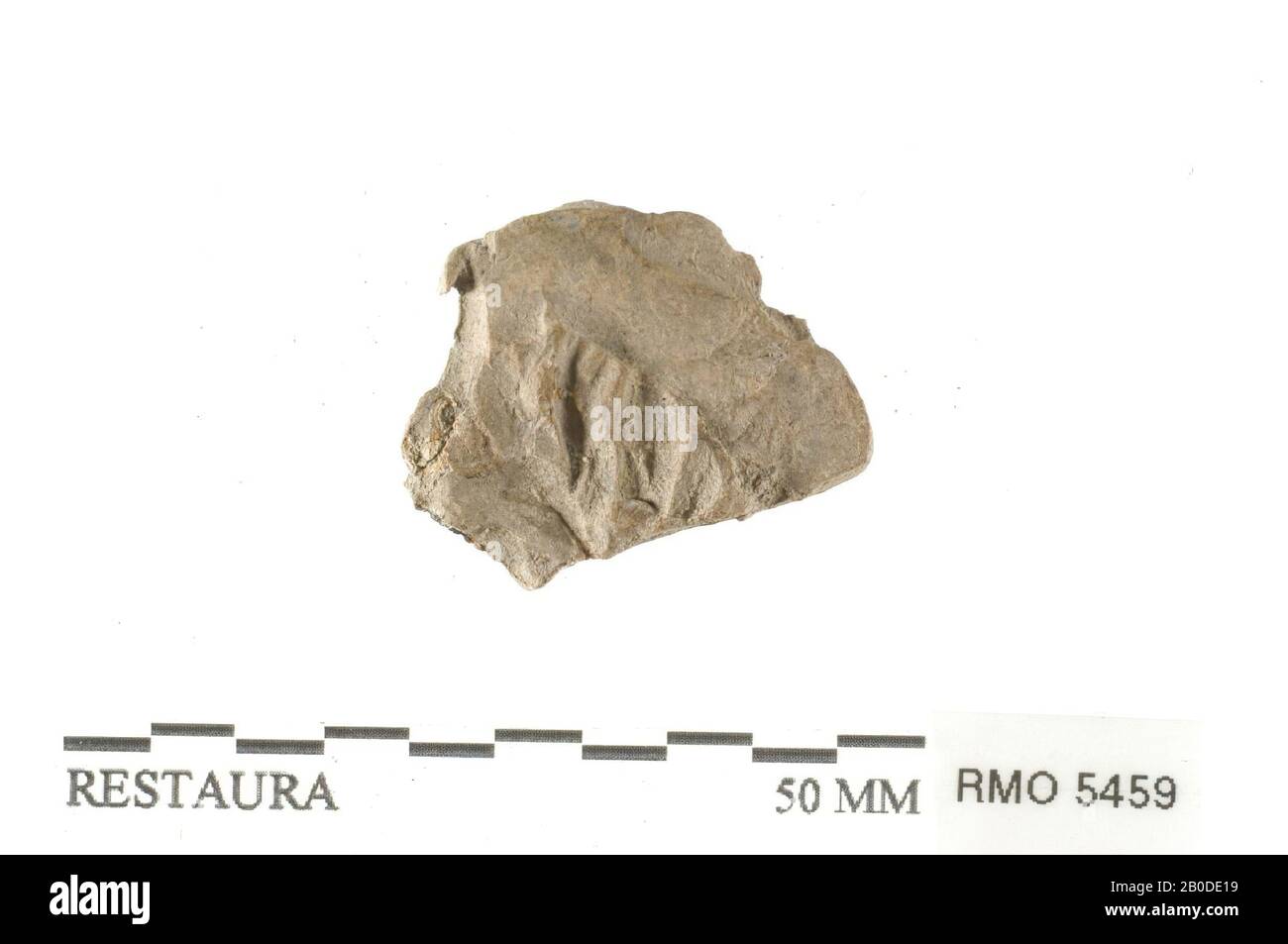 2 0 x 0 7 cm Cut Out Stock Images & Pictures - Alamy