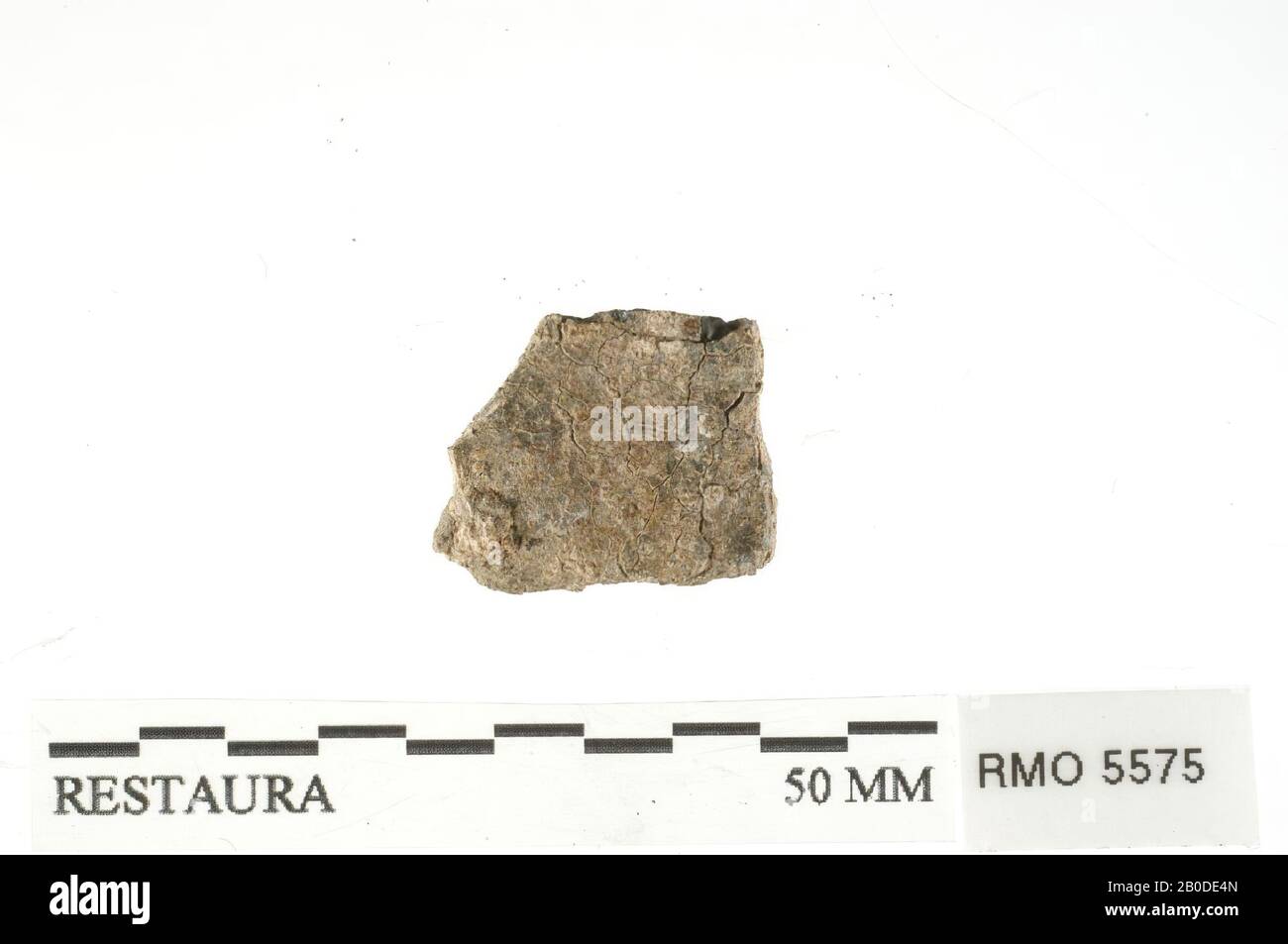plate fragment, plate fragment, lead, 1.9 x 1.5 cm, x, Netherlands ...