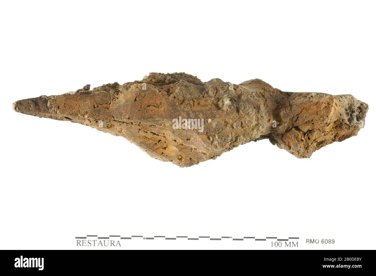 15 5 x 3 5 cm Cut Out Stock Images & Pictures - Alamy