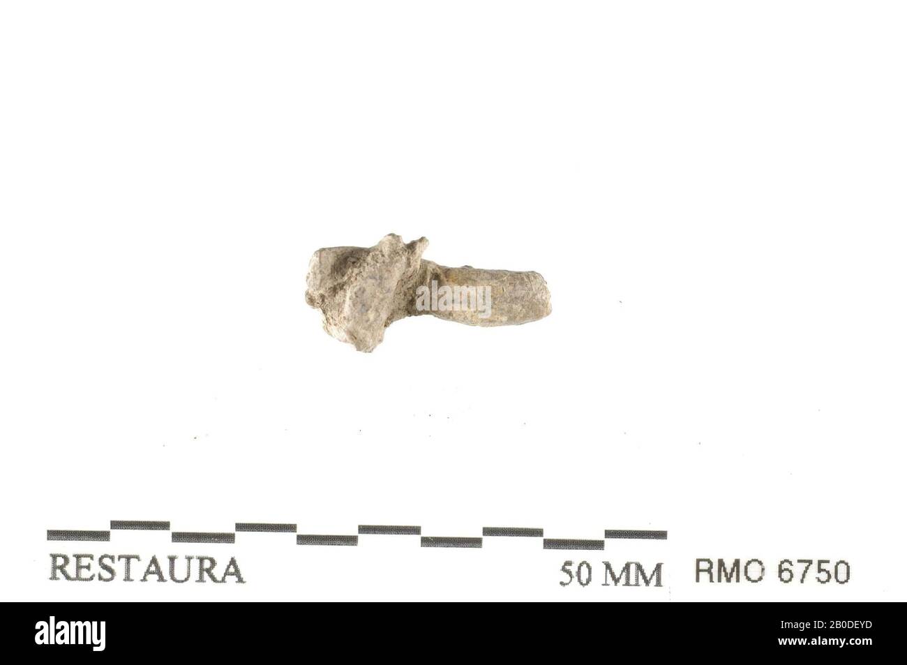 2 0 x 1 0 cm Cut Out Stock Images & Pictures - Alamy