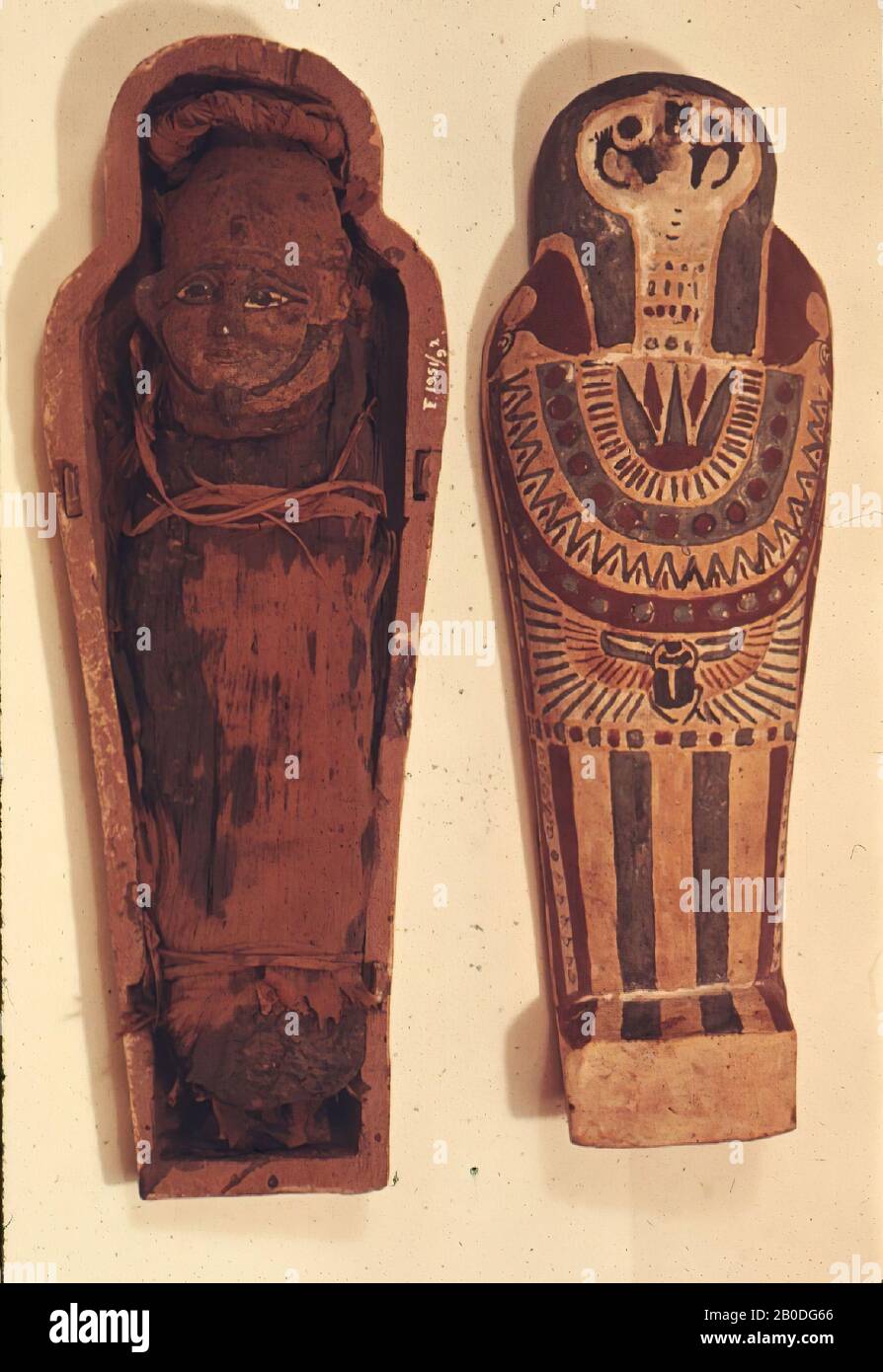 sarcophagus, sycamore wood, falcon's head, grain mummy, magic, wood, 49 ...