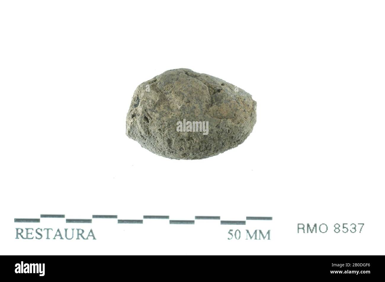 Coprolite Cut Out Stock Images & Pictures - Alamy