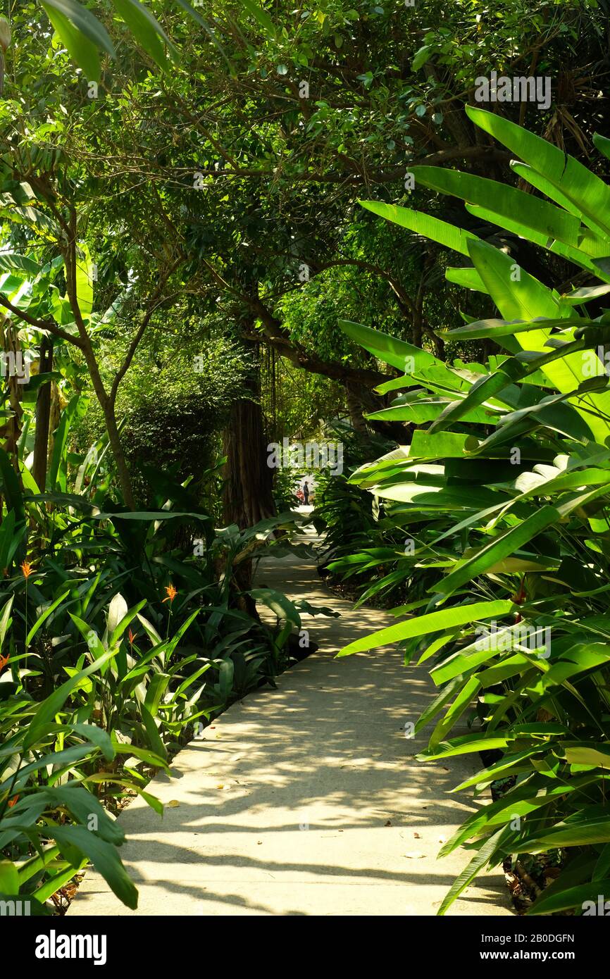 Path walk in a garden Stock Photo - Alamy