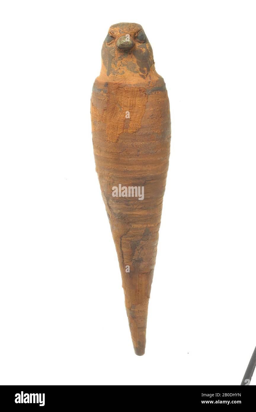 Conical body Cut Out Stock Images & Pictures - Alamy