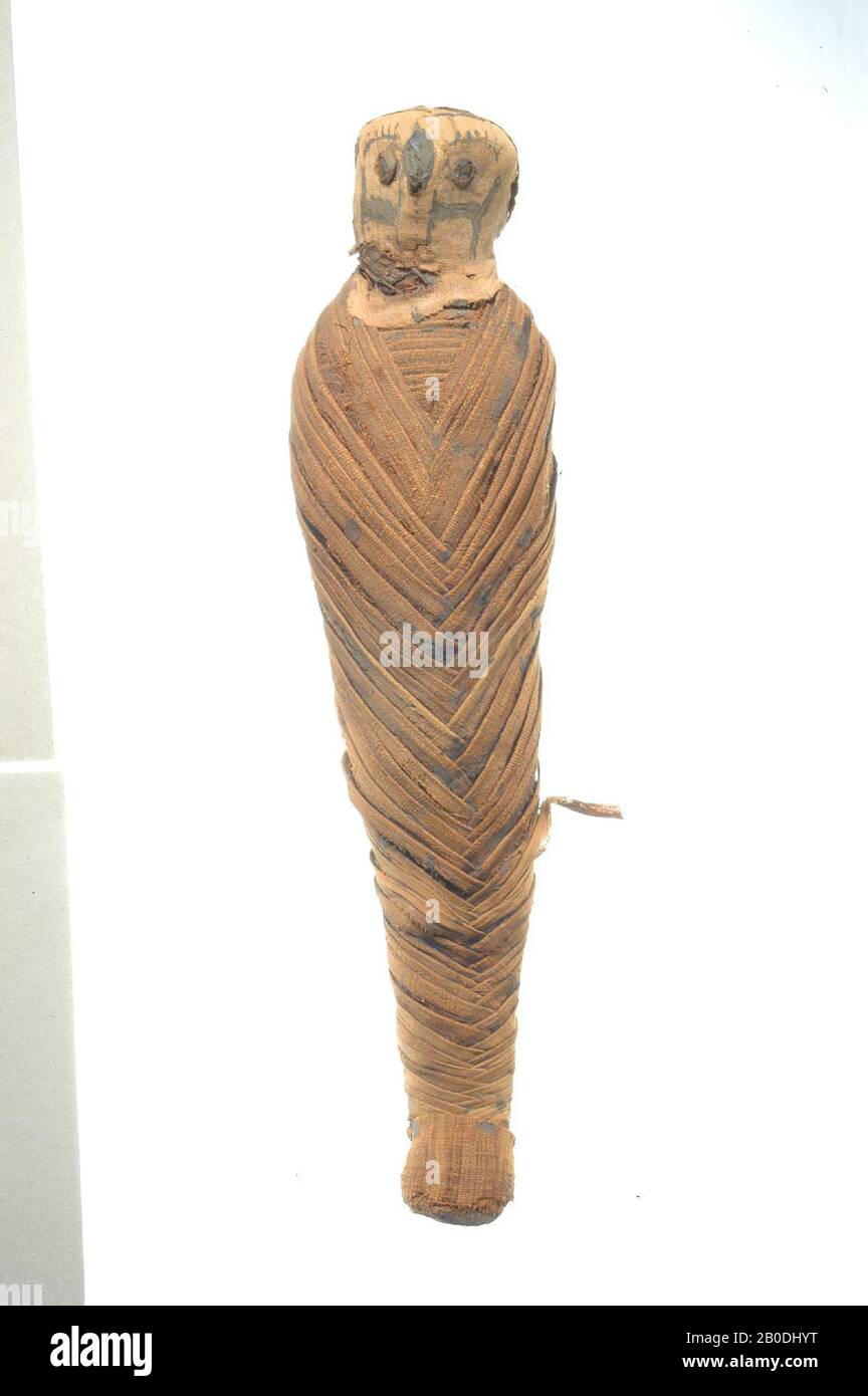 Mummy bird hi-res stock photography and images - Alamy