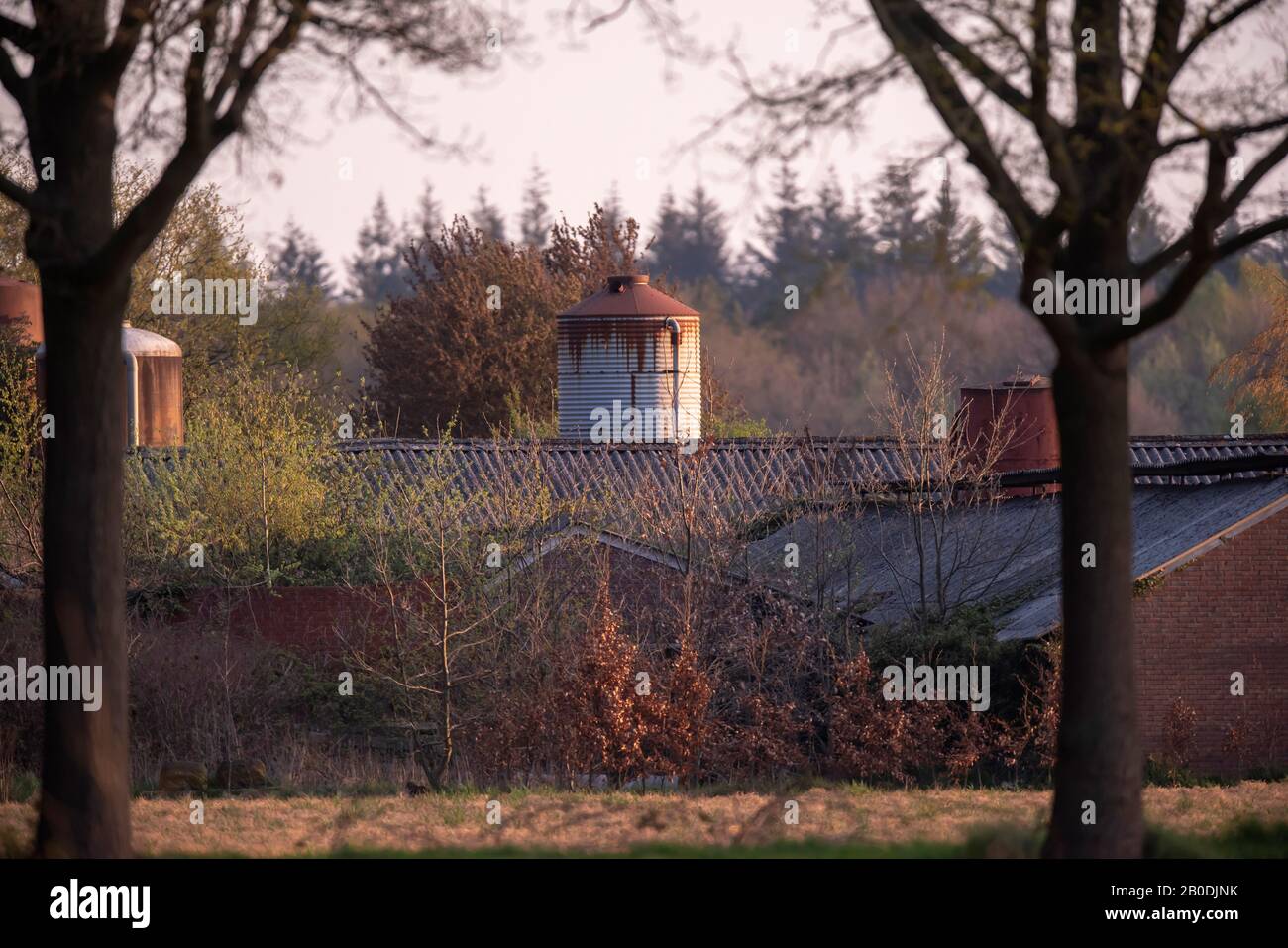 Silo and barns in evening sunlight in spring Stock Photo - Alamy