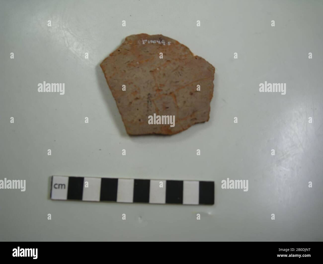 shard, red, engraved, line pattern, brown true, plant pattern 2 x on ...