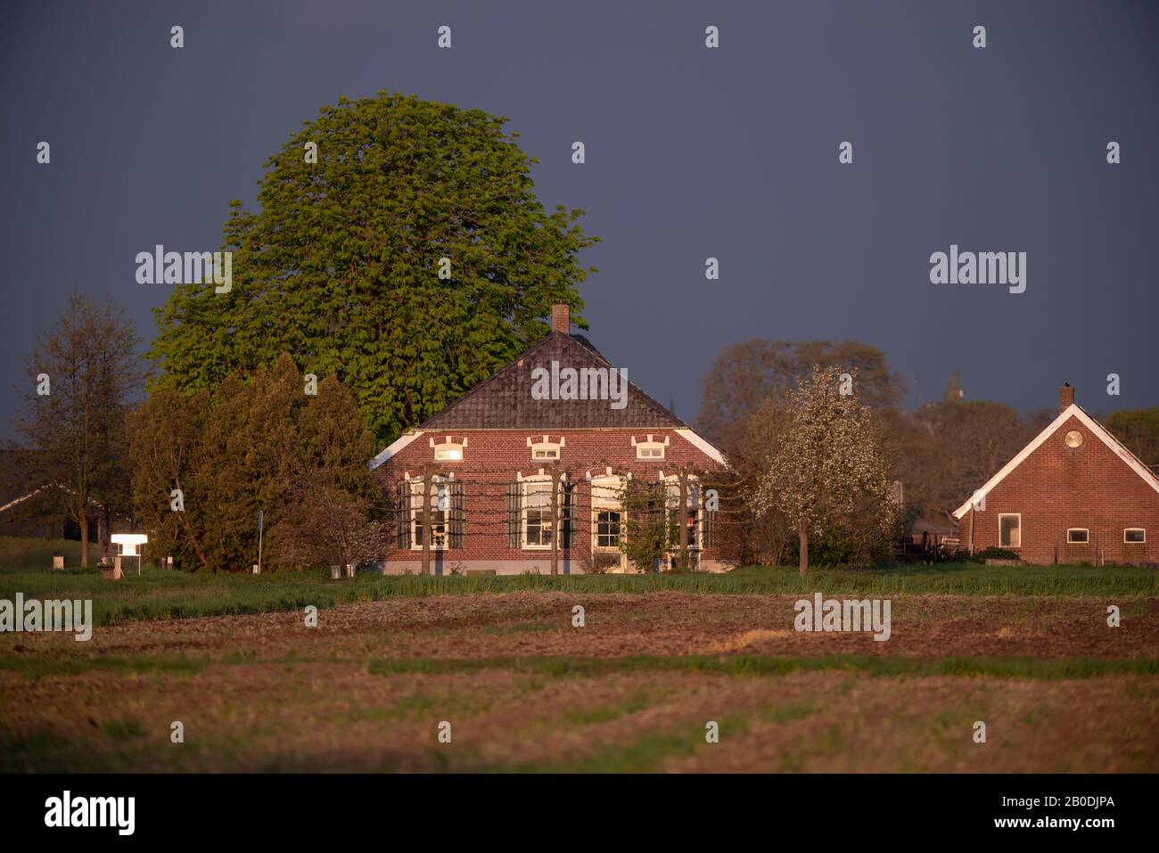 Old dutch farmhouse in evening sunlight in spring Stock Photo - Alamy