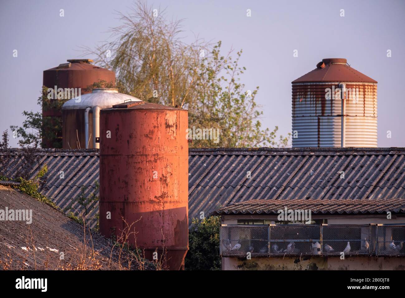 Silos with barns in evening sunlight in spring Stock Photo - Alamy