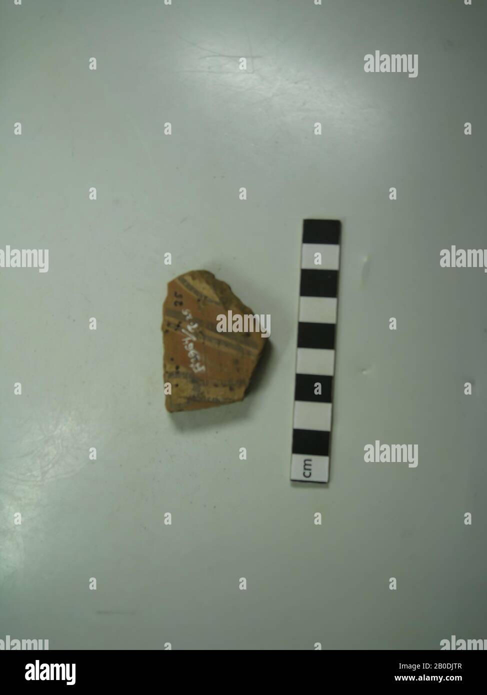 shard, beige, plant motif, reddish brown, dark brown, light red thin ...