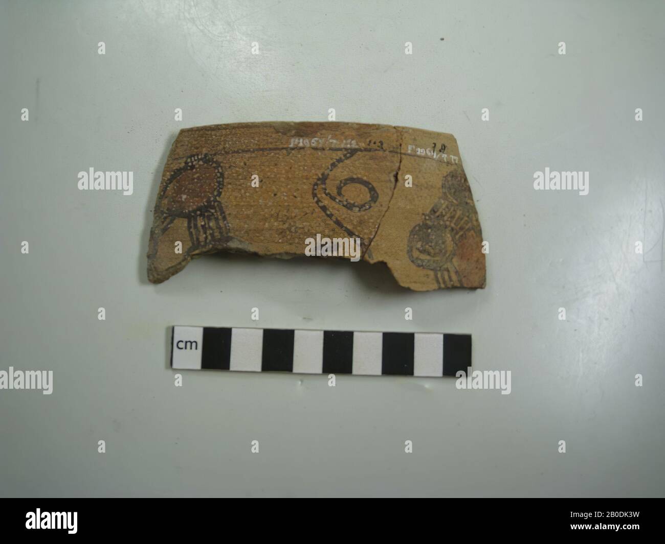 shard, beige, floral pattern, red, brown, thick true, orange background ...