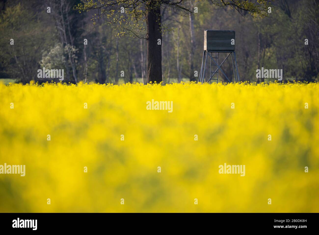 Deer hunting post hi-res stock photography and images - Alamy