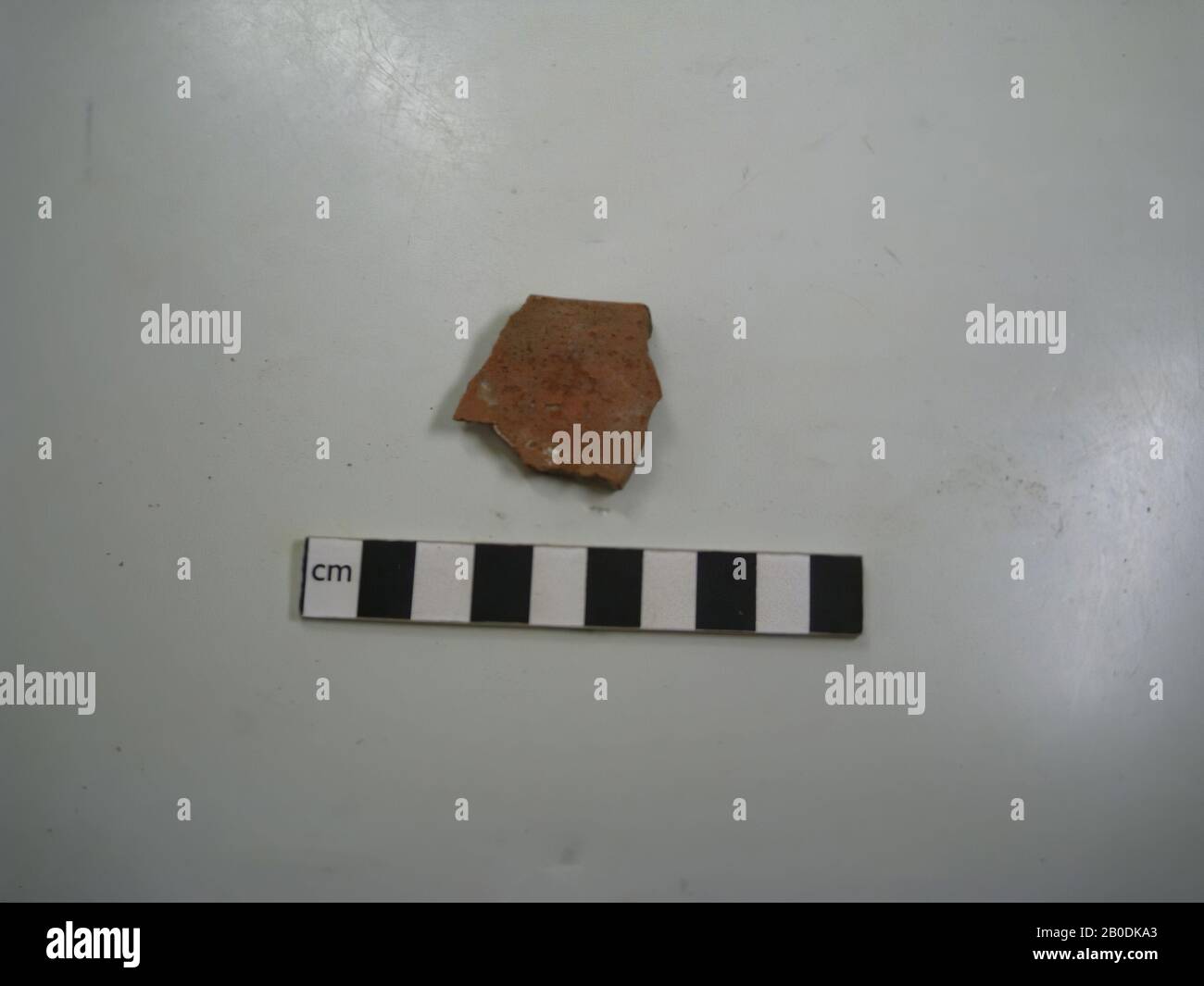 Thin plant hi-res stock photography and images - Alamy