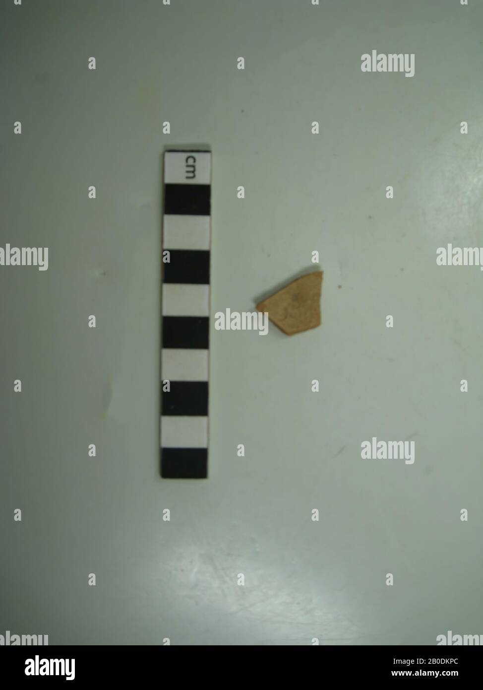 shard, beige, net motif, brown, beige, orange background, black motif ...