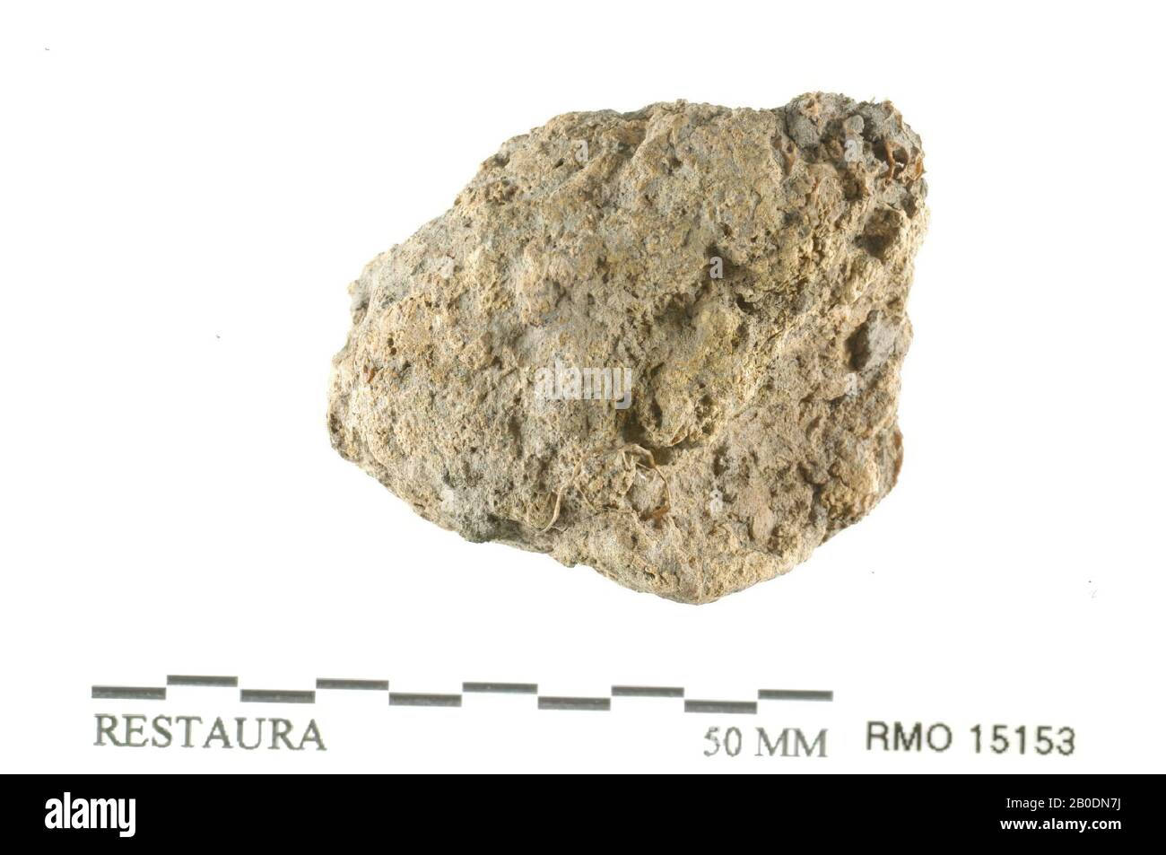 Coprolite Cut Out Stock Images & Pictures - Alamy