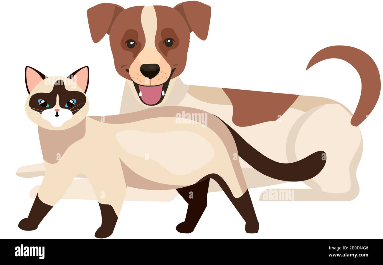 cute dog with cat isolated icons Stock Vector Image & Art - Alamy