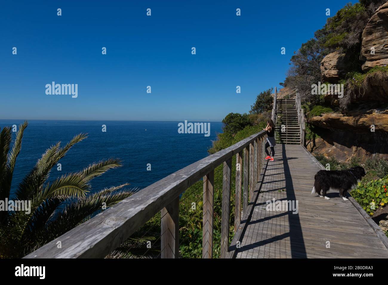 The Federation Cliff Walk, Dover Heights, Sydney. Its a five kilometre ...